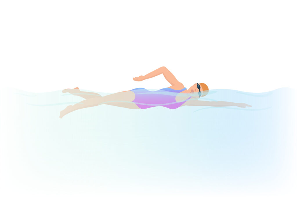 Free Human Anatomy Illustrations - Injurymap